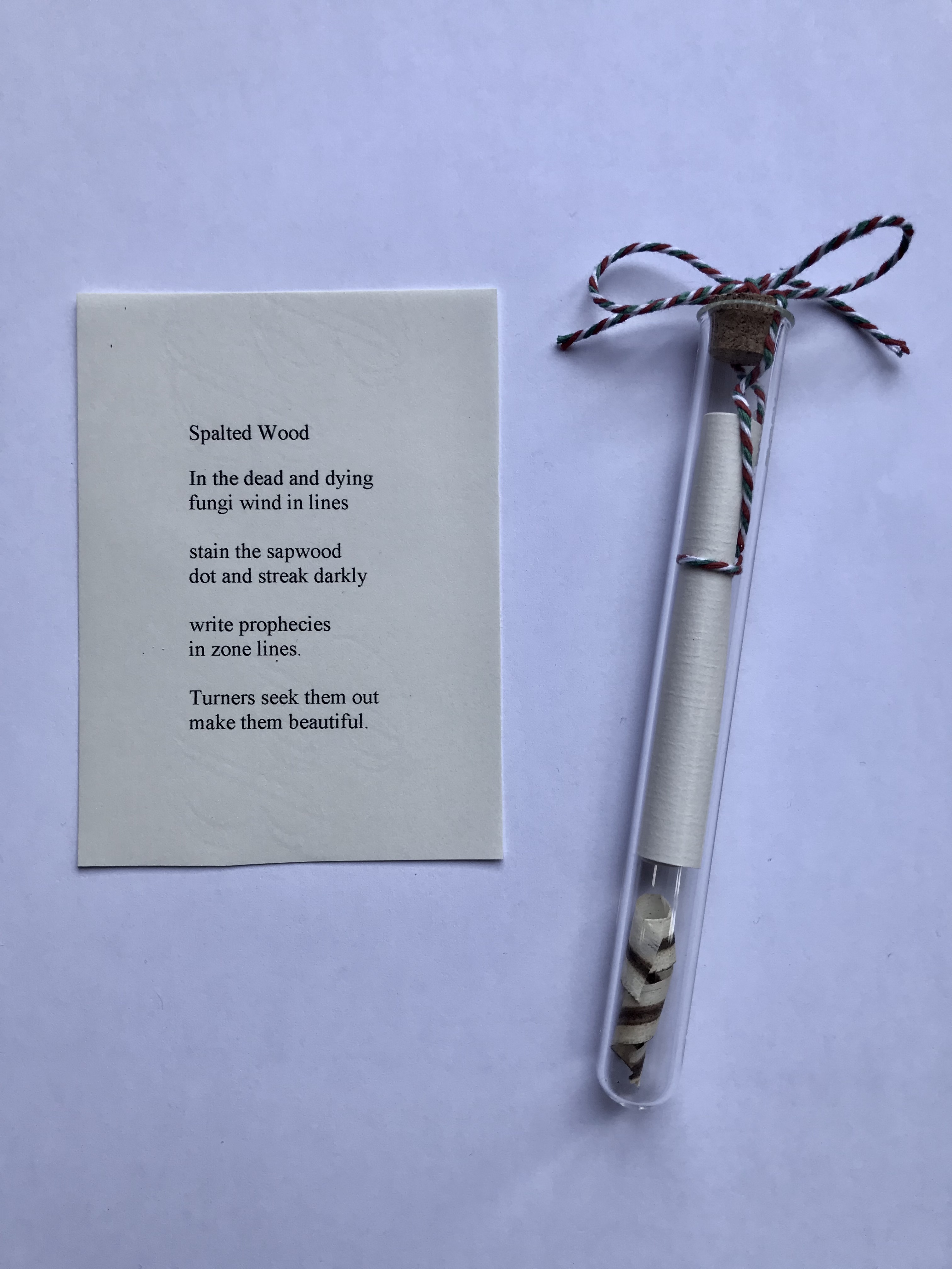 Test Tube Poem Project – Ilse Pedler Poet