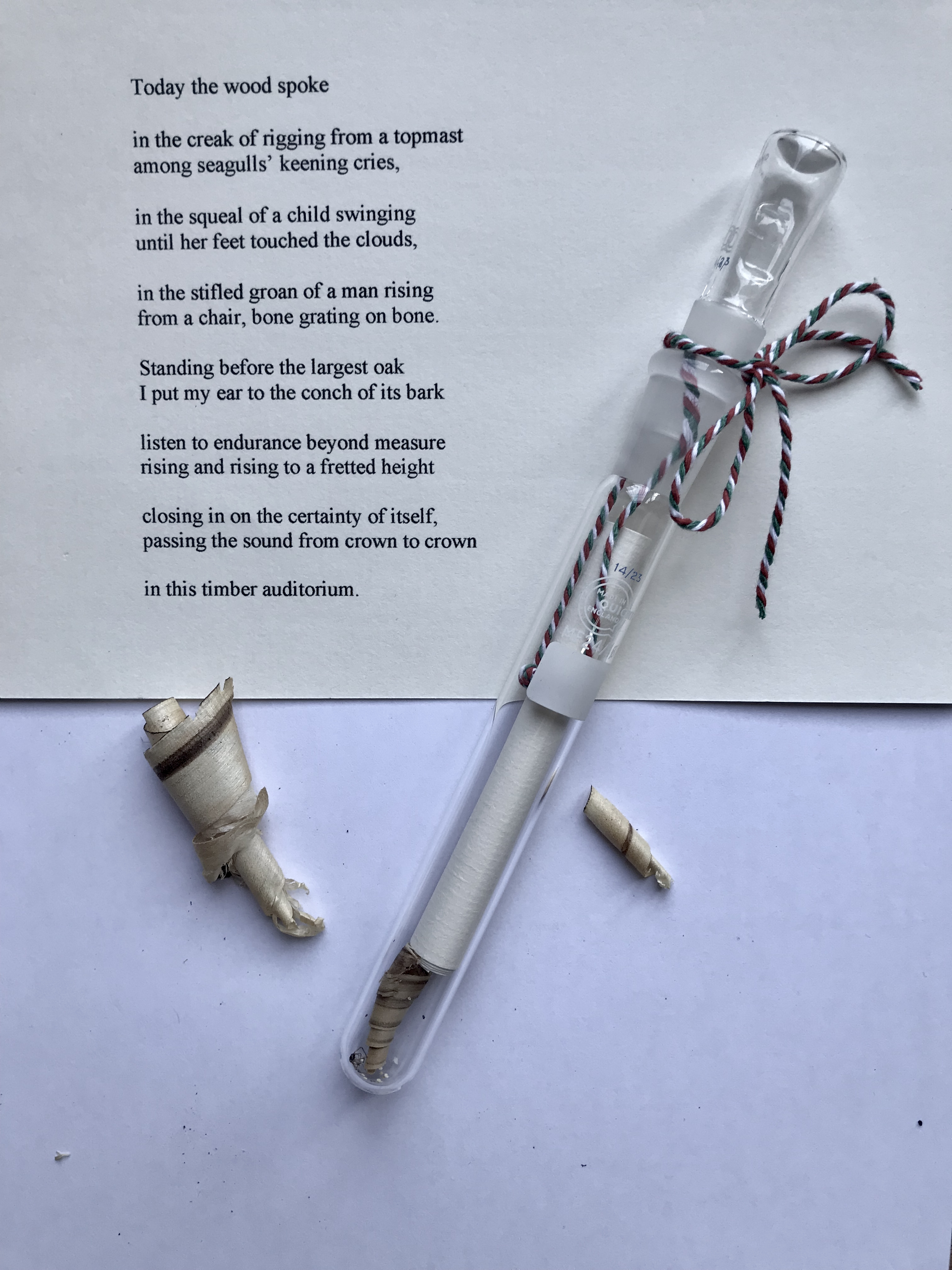 Test Tube Poem Project – Ilse Pedler Poet